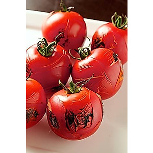 Iwatani PRO2 Culinary Professional Kitchen Butane Torch | Adjustable Flame Shape Strength 2700 F | Sous Vide Crème Brulee Pastries | Anti-flare | Incl. Stabilizing Stand | Butane Fuel Not Included