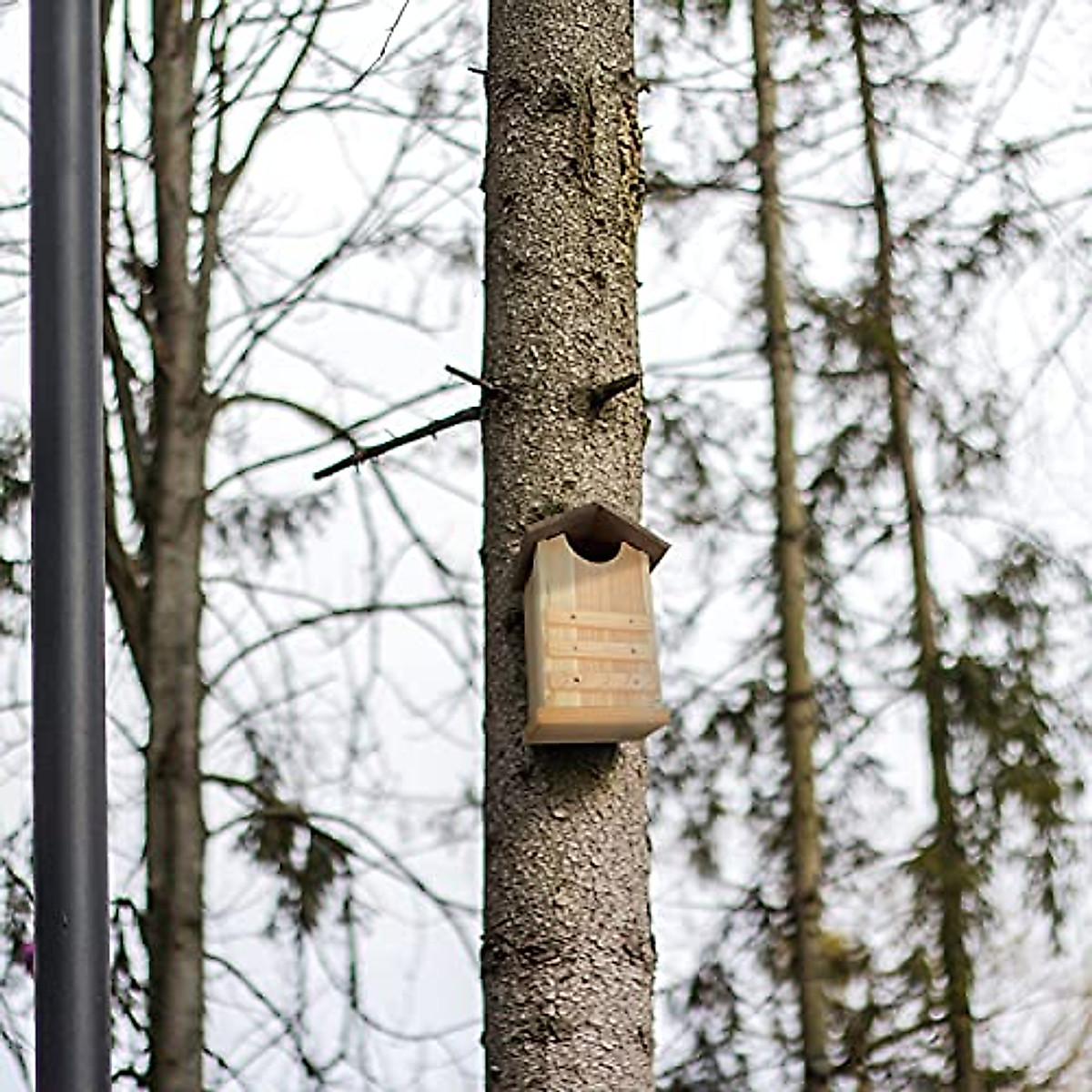Outer Trails Owl Houses, Japanese Cedar, with Composite Weather-Tight Roof