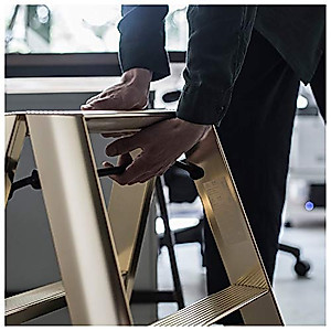 Hasegawa Ladders Lucano Step Stool Premium Edition 2 Step Gold