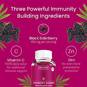 WellPath Boost Elderberry Gummies with Zinc & Vitamin C | Immune Support Supplement for Adults | Immunity Booster Vitamins | Sambucol Black Gummy | Non-GMO & Vegan, 60 Ct