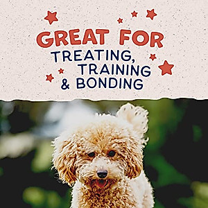 Natural Balance Limited Ingredient Mini-Rewards Salmon Grain-Free Dog Training Treats for Dogs | 5.3-oz. Canister