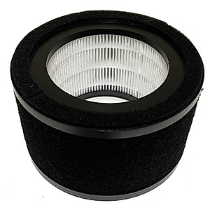 Nispira Replacement Filter L True HEPA + Activated Carbon Pre Filter Compatible with GermGuardian Air Purifier AC4200W FLT4200, 2 Packs