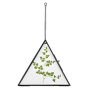 NCYP Side Length 8 Inches, Black Hanging Brass Glass Frame for Pressed Dried Flowers, Picture Photos Double Glass, Floating Frame Style Triangle Herbarium (Glass Frame Only)