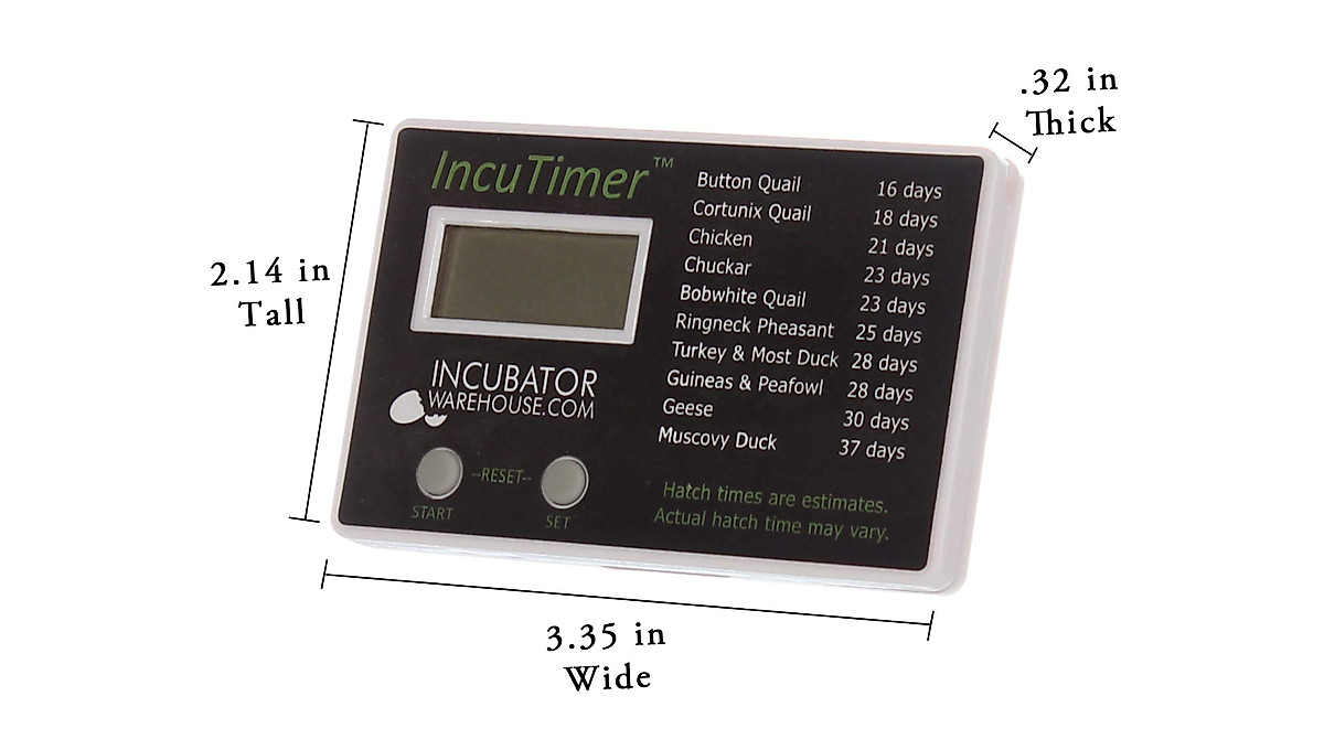 Egg Incubator Hatch Timer with 90-Day Countdown - IncuTimer