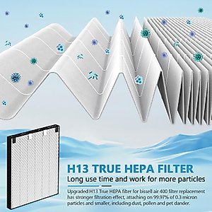 Air400 Replacement Filter Compatible with Bissell Air400 2479, HEPA Activated Carbon Pack 3365, Include 2521 True HEPA Filter,Pre Filter, 2520 Carbon Filter(1-Set)