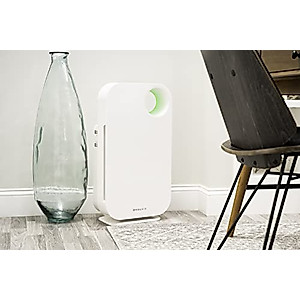 OVAL AIR AIR1000A 3-Stage H13 True HEPA 5-in-1 Air Purifier For Allergens,Dust,Pets,Allergies,Odor,Smoke,Pollen, Rooms up to 600 sq. ft., White, 13.8" X 7.5" X 25"
