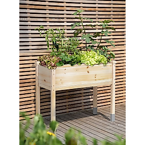 MIXC Wooden Raised Garden Bed with Legs, 48”L X 24”W, Elevated Reinforced Large Planter Box for Vegetable Flower Herb Outdoors - Beam and Column Structure - Unmatched Strength Outlast