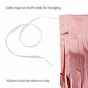 Tissue Paper Fringe Tassel Party Garland - Perfect Backdrop for All Events & Occasions (6-Count, Pastel Mix)