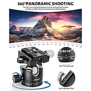 Ball Head Mount, CAVIX 36mm Ball Head Camera Tripod Head with 1/4“ Arca Swiss Quick Release Plate for Tripod, Monopod, DSLR, Camera,Load 33lb/15kg