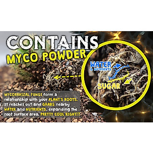 High Drainage Cactus Soil Potting Mix with Mycorrhizal Fungi - 8 Pounds / 4 Quarts of Soil for Succulents and Cactus - Slightly Acidic, Gritty Soil for Healthy Indoor Plants - Spike & Bloom