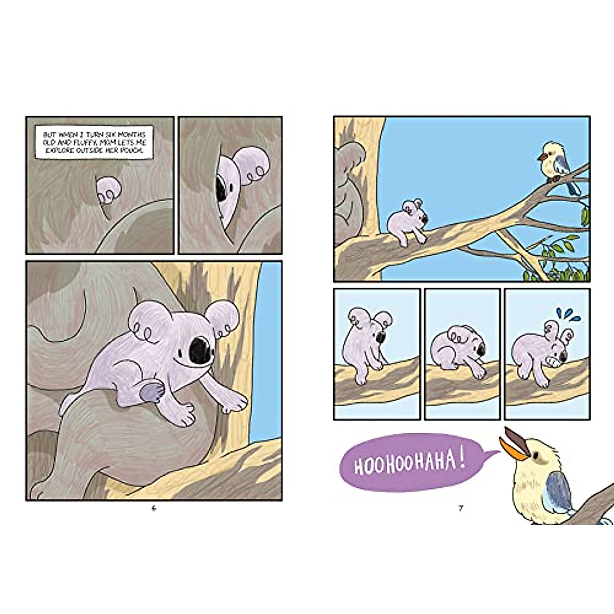 Surviving the Wild: Rainbow the Koala