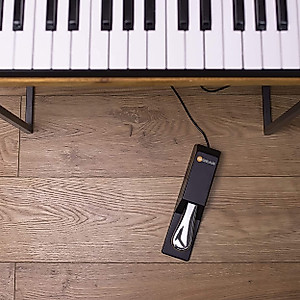 M-Audio SP-2 - Universal Sustain Pedal with Piano Style Action For MIDI Keyboards, Digital Pianos & More