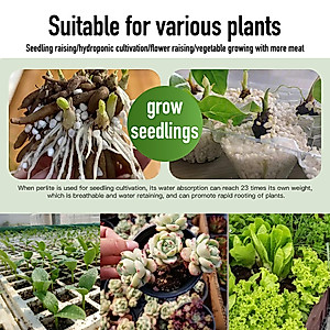 2QT Perlite for Plants Organic Perlite Horticultural Soil Amendment for Indoor & Outdoor Container Plants and Enhanced Drainage Enhanced Growth, Promote Root Growth and Soil Health