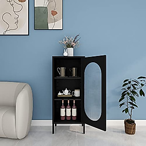 WISUNO Metal Storage Cabinet for Living Room,Bedroom,Home,Office,Kitchen,3-Tier,Glass Door,Removable Shelves (Single Glass Door, Black)