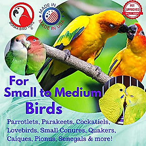 Bonka Bird Toys 1570 Twin Ball Bird Toy Parrot cage Toys Cages Cockatiels Conures African Greys