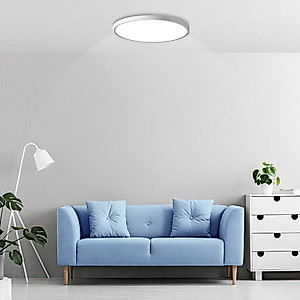 12 Inch 20W Flush Mount LED Ceiling Light, 2000 LM, Round Flush Mount Ceiling Lamp Fixture for Bedroom, Living, Kitchen, Hallway, Bathroom, Stairwell, Color White, Slim, 3 colors in 1(Non Dimmable)