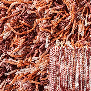 SAFAVIEH Rio Shag Collection 3' x 5' Rust / Ivory SG960P Handmade 1-inch Thick Area Rug