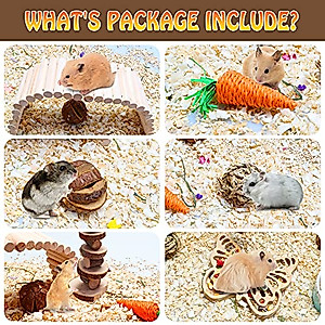 KAKUNM Hamster Toys 6Pcs | Guinea Pig Foraging Toys | Wooden Bridge | Grass Carrot Toy | Molar String | Grass Balls | Watermelon Ball for Hamster, Guinea Pigs, Chinchillas, Rabbit