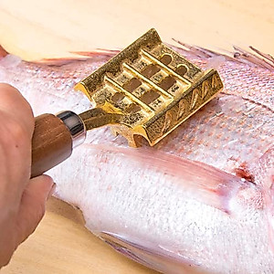 RANSHOU Fish Scaler Remover No Mess Heavy Duty Double Wing Blade, Japanese Professional Fish Scale Scraper Tool, Wood Handle, Brass Gold, Made in JAPAN