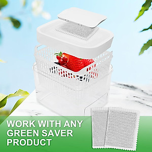 PROKITCHEN Carbon Filter Refills Compatible with OXO Greensaver Produce Keeper & Crisper Inserts, Compatible with Bluapple Produce Saver Balls, Filter Refill Bags, Keep Fresh Packet Refills, 8PCS