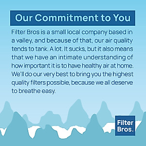 Filter Bros HRF-R1 HEPA Replacement Filter R 1 Pack Fits Honeywell HPA100 Series