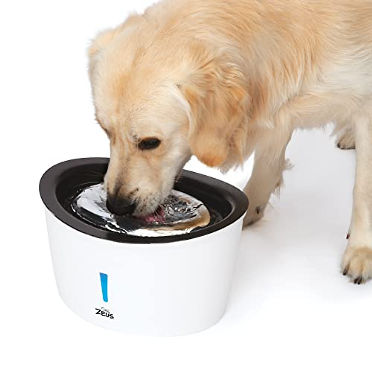 Zeus Cascade Dog Drinking Fountain with Stainless Steel Top