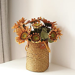 2PCS Seagrass Woven Basket Straw Belly Storage Flower Plant Pot Vase Organizer with Handles for Laundry Picnic Grocery