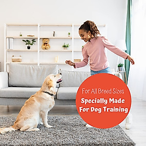 TRICK OR SNACK Premium 1lb Dog Jerky Treats | Dog Training | Dog Walking | Natural Grillers | Healthy Smoked Beef Chicken Salmon Chews Snacks Beef Cranberry Jerky