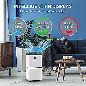 Lienuis 25 Pints Dehumidifiers for Home and Basements, Large Room, Bedroom, Bathroom, 2000 Sq. Ft. Dehumidifier with Drain Hose and Water Tank, Auto or Manual Drainage, 12H Timer, Auto Defrost, Child Lock