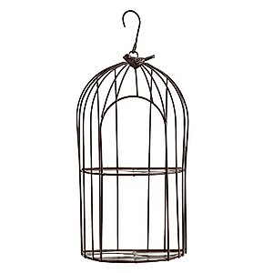 TJ Global 2-Plant Iron Birdcage Hanging Planter, Metal Wire Flower Pot Basket Wrought Iron Plant Stands for Plants, Flowers, Garden, Patio, Balcony Outdoor and Indoor Décor