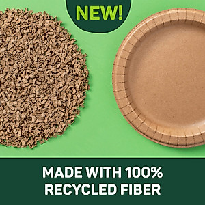 Dixie EcoSmart 100% Recycled Fiber Paper Plates, 8.5in, 50 Count, Medium Disposable Plate Great for Light Breakfast, Lunch, and Dinner Size
