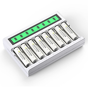 Deleepow Rechargeable AAA Batteries 1.2V Nimh 1100mAh Triple A Batteries of 8 Packs 1200 Cycles with 8-Bay LCD Charger