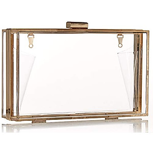 Jessica McClintock Women's Lucinda Lucite Clutch w/Pouch, Rose Gold