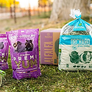 PremiYum Standlee Adult Guinea Pig Food, 8lb Bag