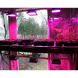 ACKE LED Grow Lights Full Spectrum,Plant Lights，Growing Lamps 12W for Indoor Plants,Hydropoincs