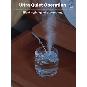 USB Mini Flower Humidifier, Creative Cute Humidifiers Small Personal Portable Air Humidifier Mist Machine Fog Maker Plant Humidifier for Home Bedroom Office Desktop (Flower-Blue+Red)