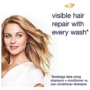 Dove Nutritive Solutions Strengthening Shampoo for Damaged Hair Intensive Repair Dry Hair Shampoo With Keratin Actives 12 oz