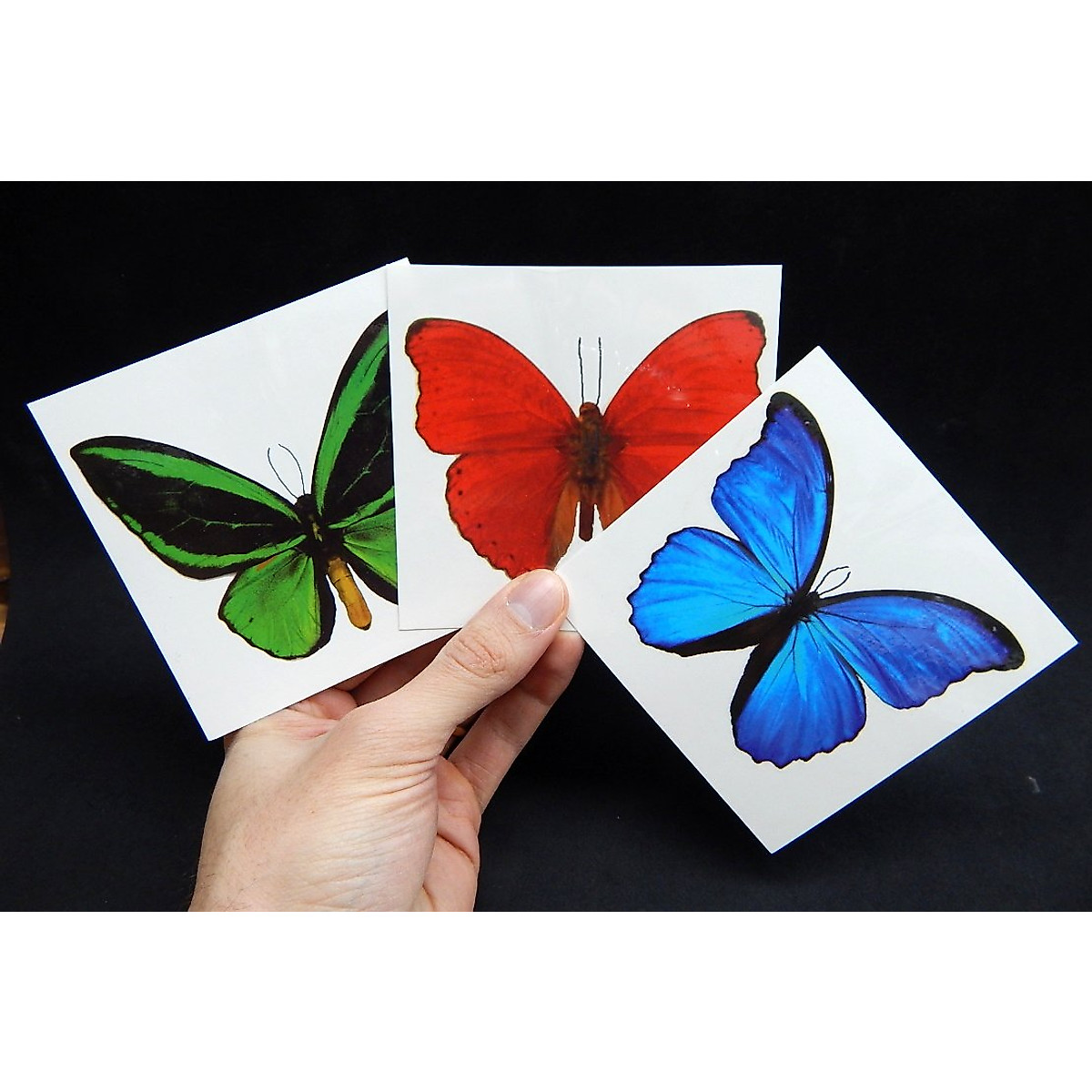 Large Butterfly Temporary Tattoos by Butterfly Utopia (6 Sheets)