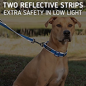 Leashboss Reflective Martingale Collar and 6 Ft Leash with Padded Handle, Medium Collar 14.5-17" Neck, Blue