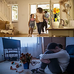 【Upgrade】 Self Watering Spikes, 12Pack Plant Water Stakes + 12Pack Flower Papers Automatic Drip Irrigation System Adjustable Valve Switch Device Garden Plants Indoor Outdoor Home Vacation Use NSWXZDS