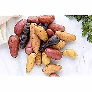 Simply Seed - 10 Piece - Fingerling Potato Seed Mix - Non GMO - Naturally Grown - Order Now for Spring Planting