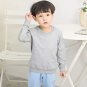 AIWUHE Toddler Boys Girls Solid Pullovers Sweatshirt Long Sleeve T-Shirt Kids Cotton Crewneck Thin Tops Blouse 2T Gray 90