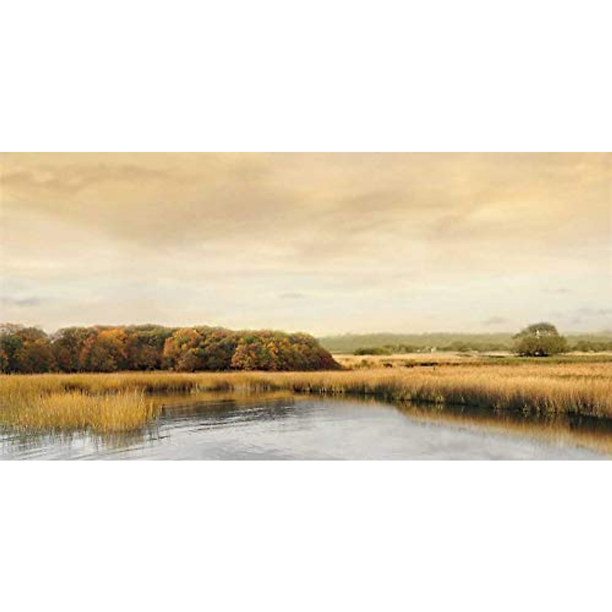 Posterazzi PDXIS7424SMALL Ripples On The Water John SEBA Poster Print, 24 x 12, Multicolor