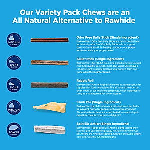 Barkworthies Healthy Dog Treats & Chews Puppy Dog Variety Pack (5 Chews) - Protein-Rich, All-Natural, Easily Digestible, Rawhide Alternative - Promotes Dental Health - Great Gift for All Dogs