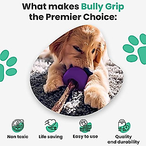 Bully Stick Holder for Dogs - Medium Size - Interactive Dog Toy, Dog Treat Holder, Slow Feeder, Treat Dispenser, Chew Toy and Dog Safety Device