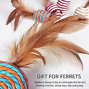 7 Pack Ferret Toys - Interactive Ferret Toys Assortments Feather Teaser Wand with Sisal Mice Balls and Bells Toys for Ferret Cat Kitten Puppy (7 Pack)