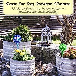 Blazin' Bison Self Watering Bulbs for Plants | Automatic Vacation House Plant Water Globes | Decorative Hand-Blown Glass Aqua Globe | 2pc Deluxe Set (Large)