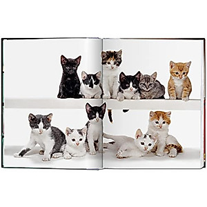 Cats: Photographs 1942 - 2018