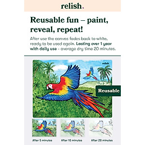 Relish Magnificent Birds Aquapaints - Pack of 5 Reusable Water Painting Activities, Products & Aids for Elderly