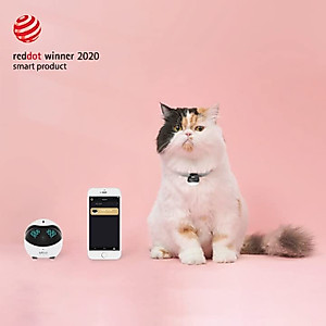 Enabot Ebo SE Movable Smart Pet Dog Camera Robot, Wireless Auto-Cruise Self-charging 1080P HD w/Night Vision 2-Way Audio APP Remote Control Motion Detection IP Cam Home Camera 2.4G/5G Wifi